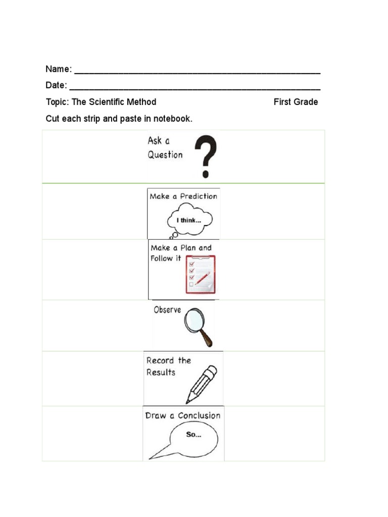 First Grade Scientific Method Worksheet | PDF | Home & Garden