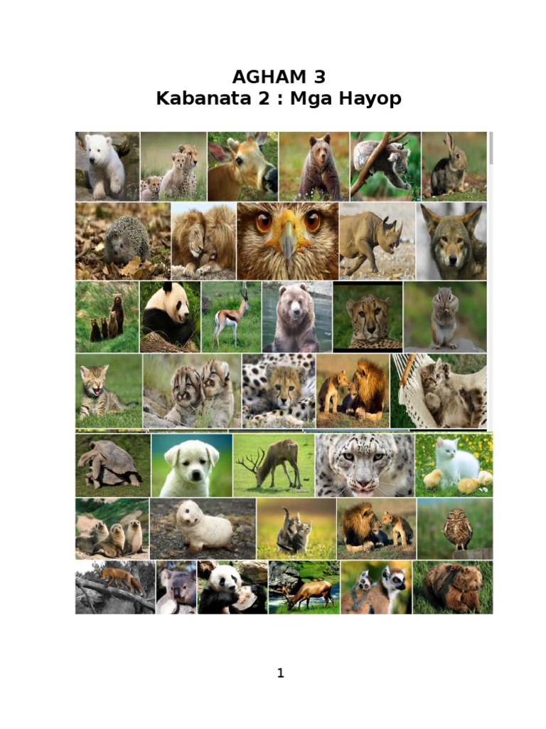 AGHAM 3-Mga Hayop A | PDF