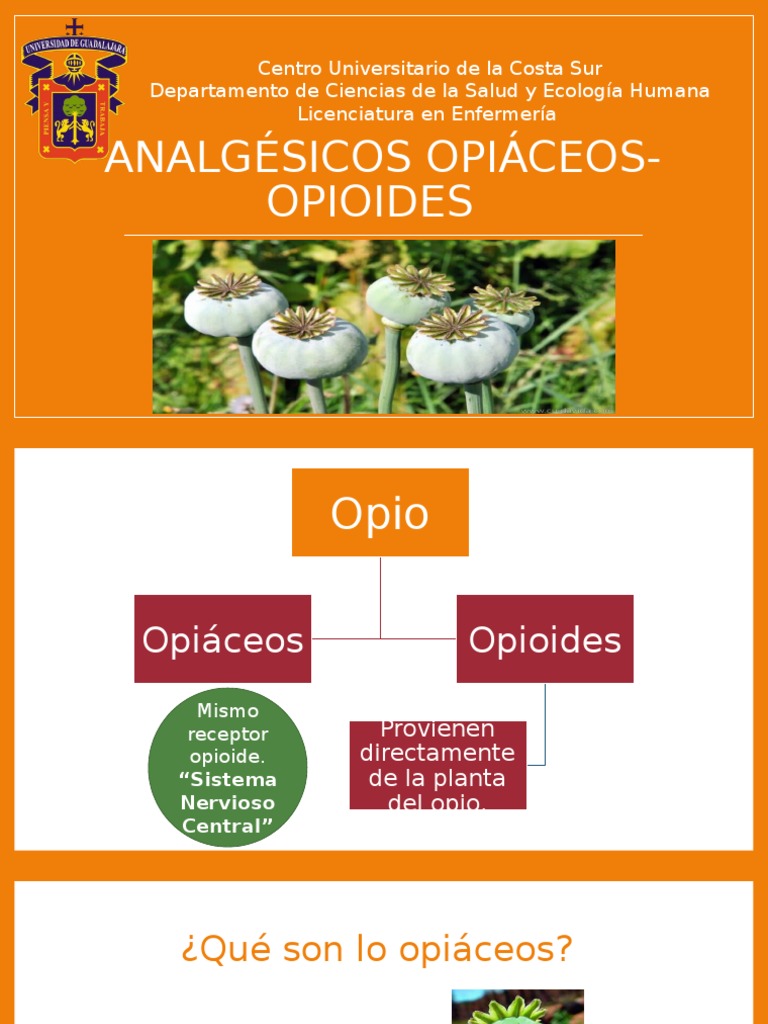 Analgésicos opiáceos.pptx | Naloxona | Opioide