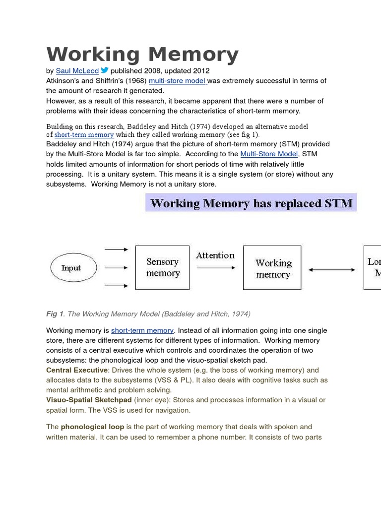 Working Memory | PDF | Working Memory | Information Processing