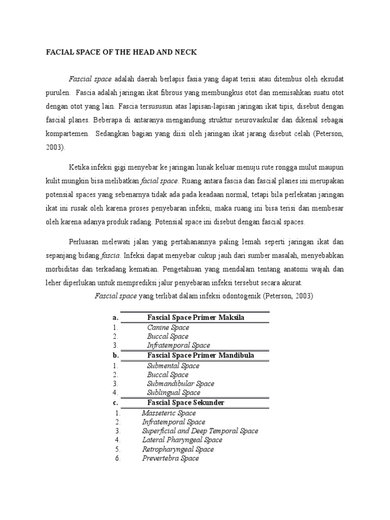 Facial Space of The Head and Neck | PDF