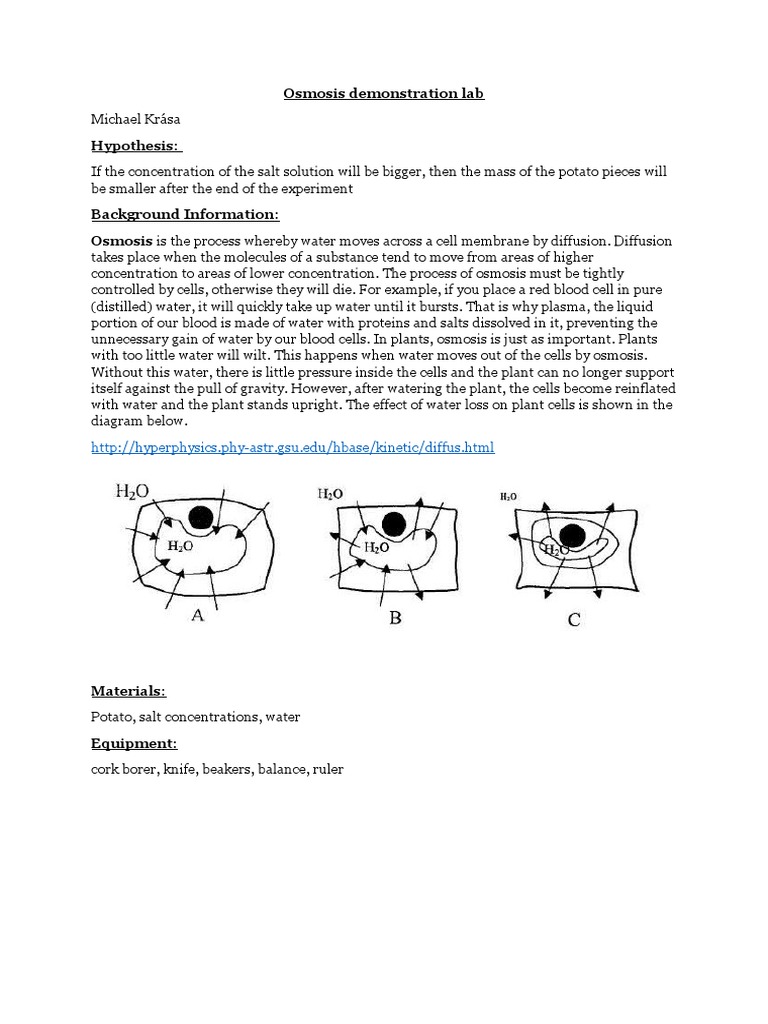 Osmosis Demonstration Lab | PDF | Osmosis | Physical Sciences