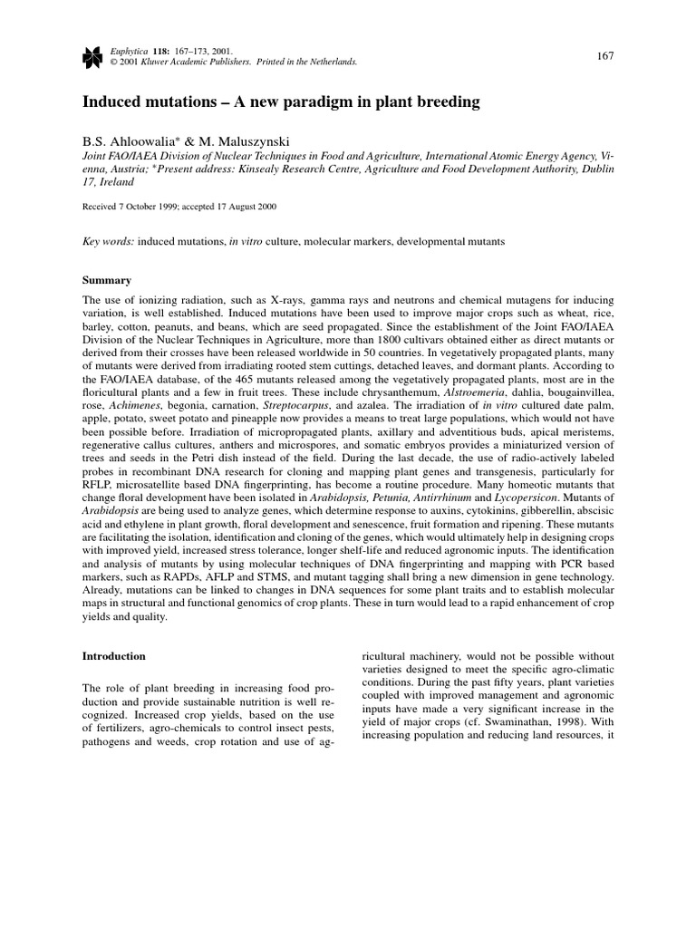 Induced Mutation | PDF | Plant Breeding | Auxin