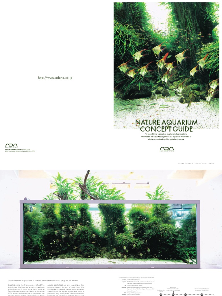 ADA Concept Guide | PDF | Aquarium | Water Purification