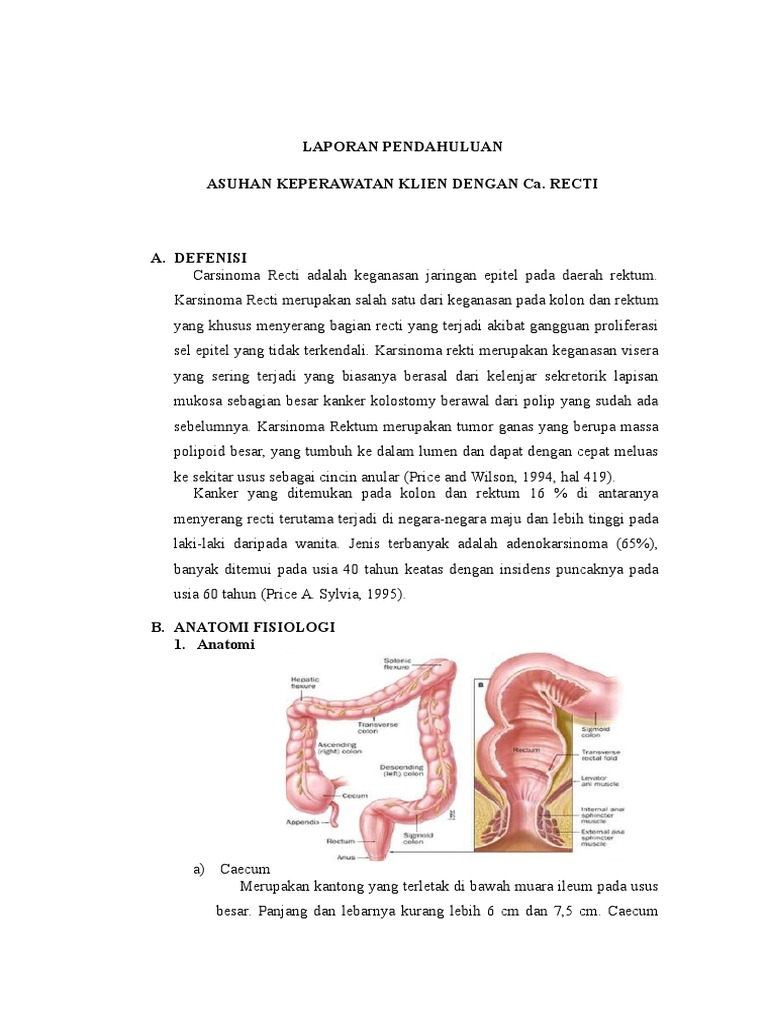 LP Ca - Recti Top | PDF