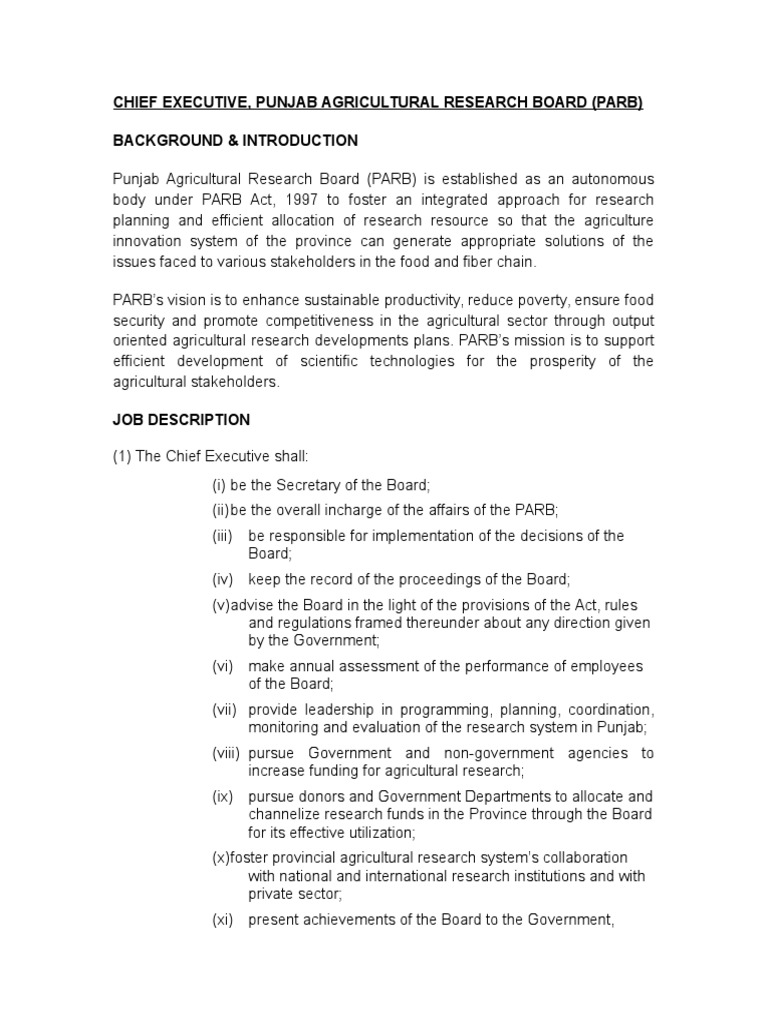 Job Description of Chief Executive Parb | PDF | Employment | Chief ...