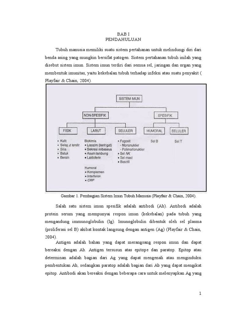 Tugas Plaque Reduction Neutralization Test | PDF