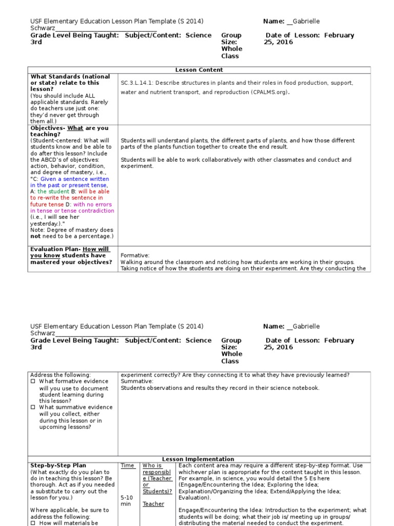 USF Elementary Education Lesson Plan Template (S 2014) Schwarz | PDF ...