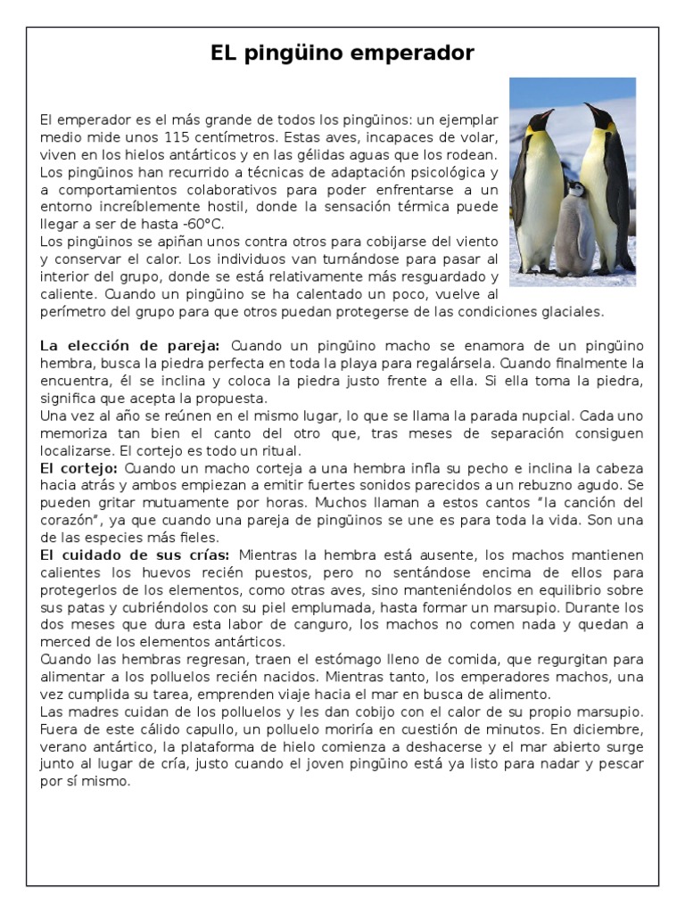 EL Pingüino Emperador | Aves | Tetrápodos