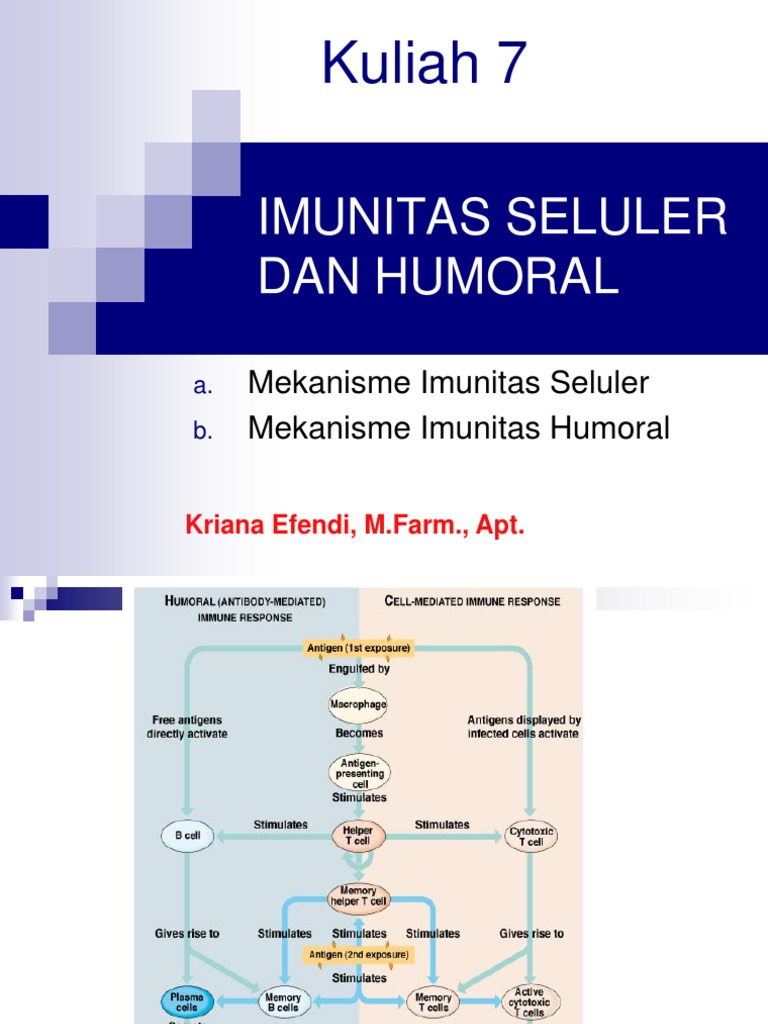 Kuliah 7 Imunitas Seluler Dan Humoral | PDF