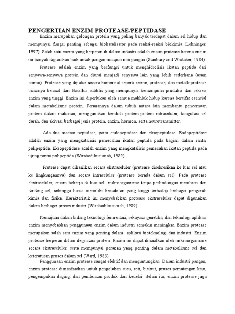 Biopang Enzim Protease | PDF