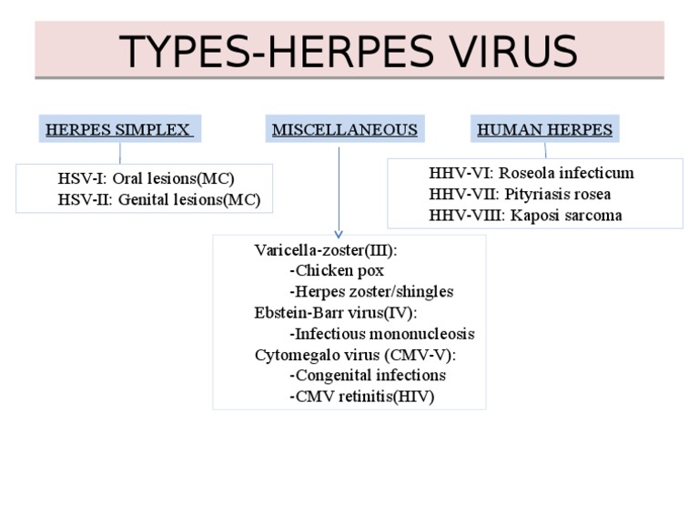 Types Herpes Virus | PDF