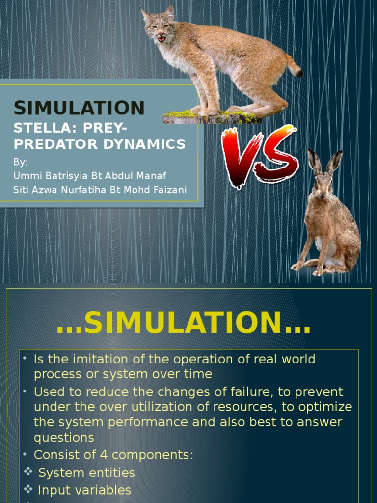 Simulation Stella | PDF