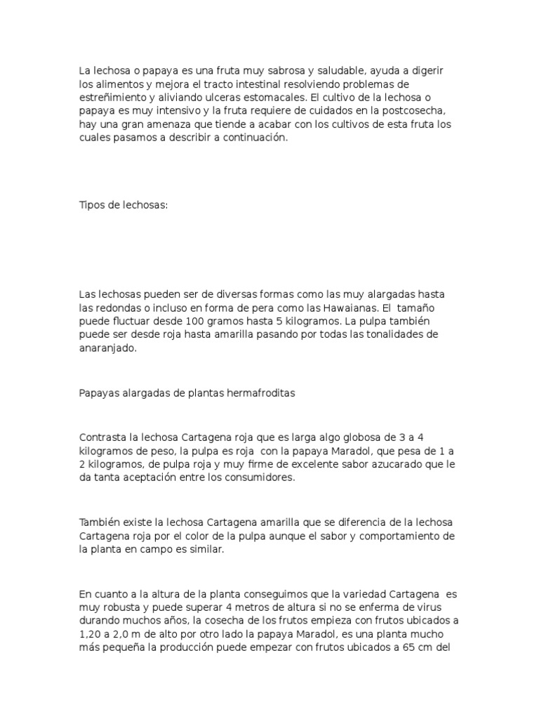 Lechoza | PDF | Fertilizante | Riego