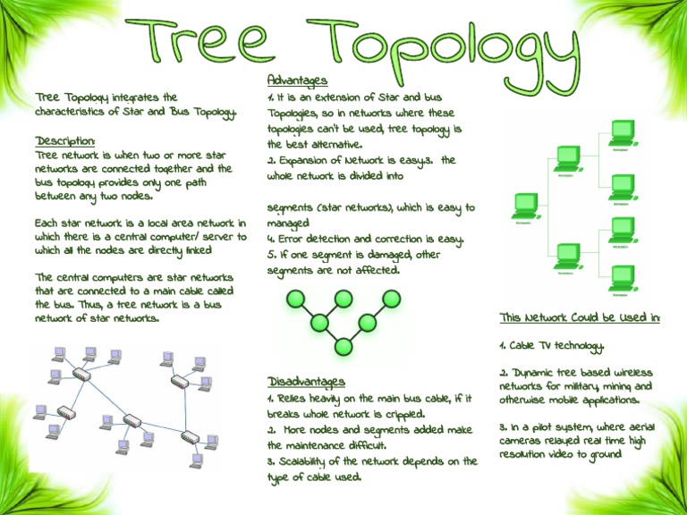 Tree Topology | PDF