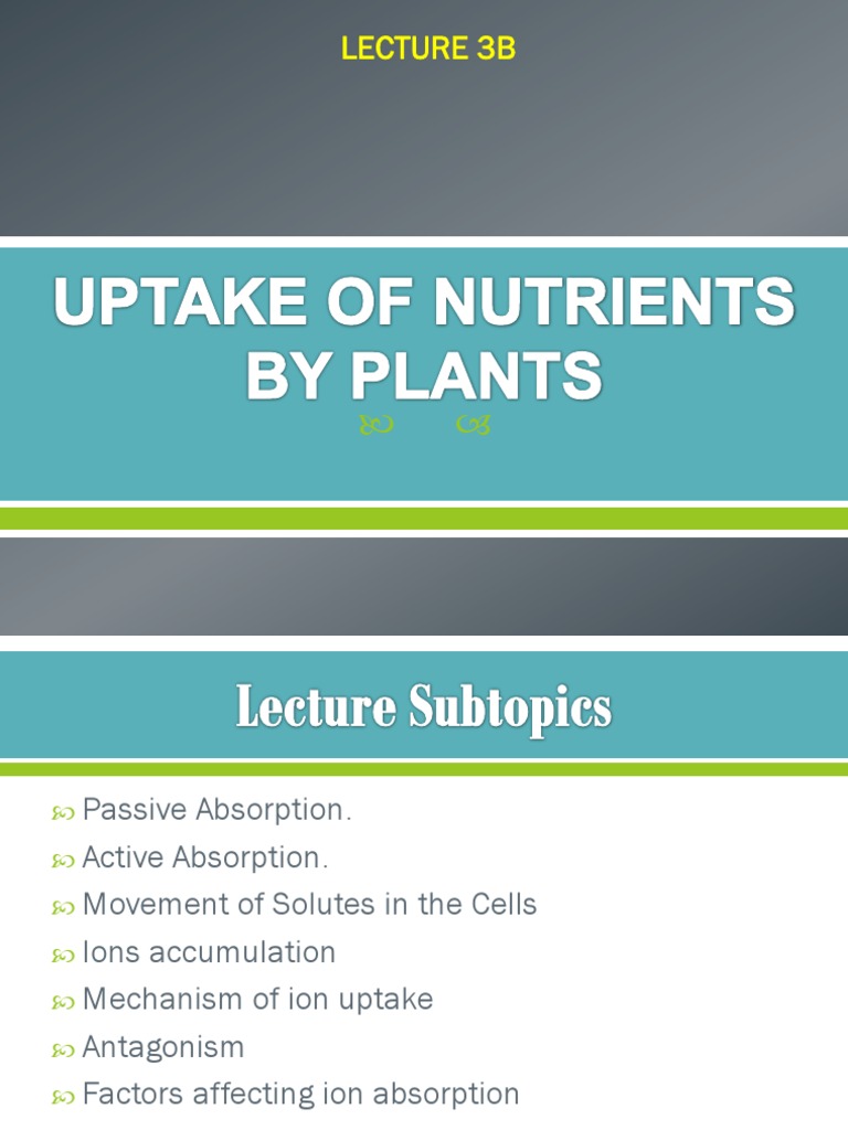 Uptake of Nutrients by Plants | PDF | Electron Transport Chain | Ion
