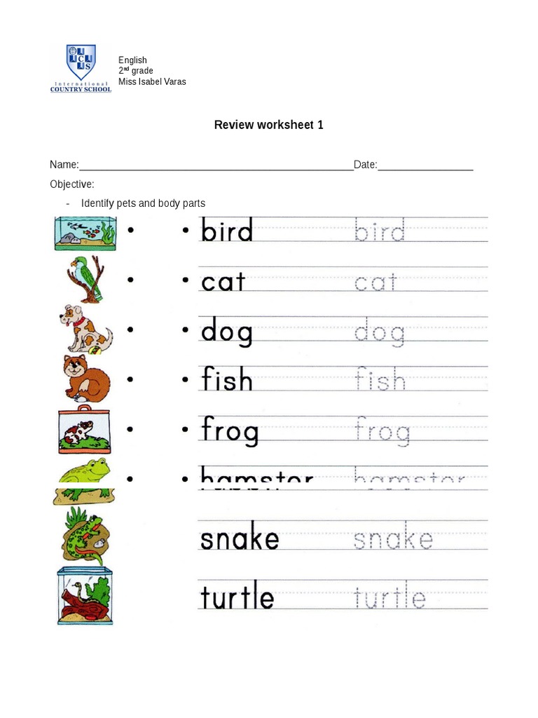 English 2nd Grade | PDF