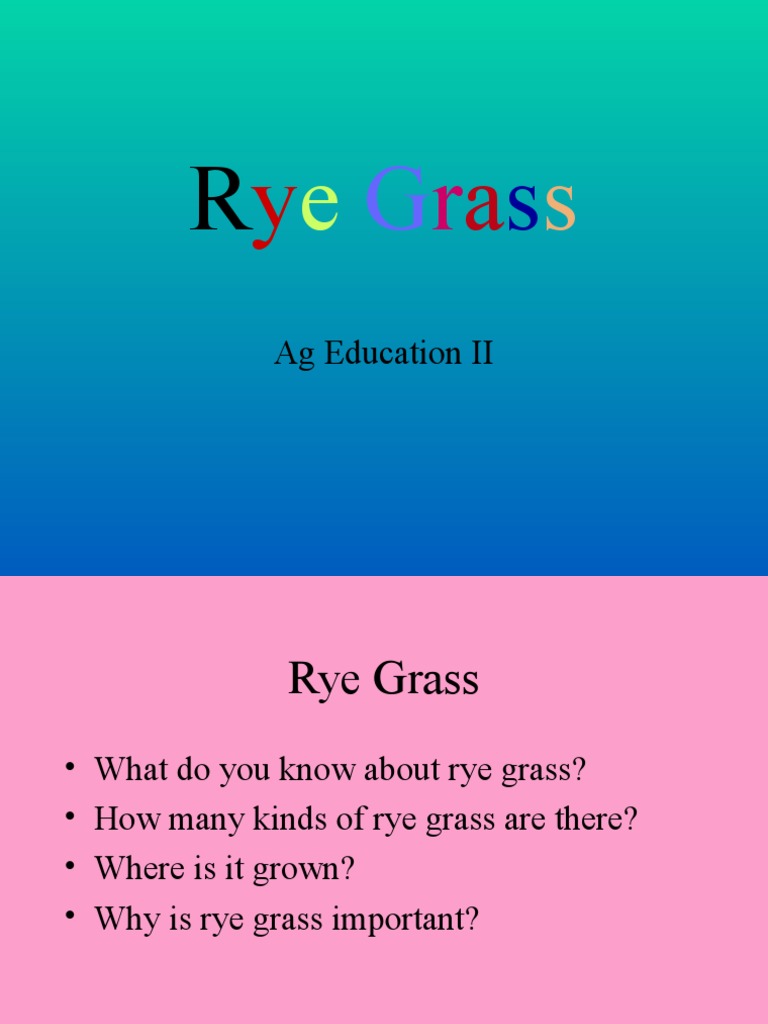 Rye Grass | PDF | Rye | Perennial Plant