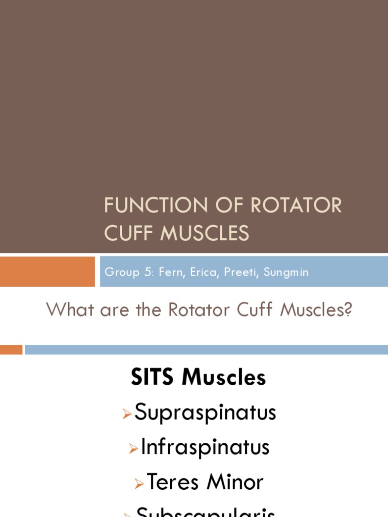 Function of Rotator Cuff Muscles Updated | PDF | Shoulder | Soft Tissue