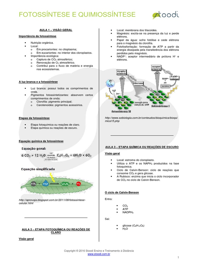 Biologia Fotossintese e Quimiossintese v02 PDF | PDF | Fotoquímica ...