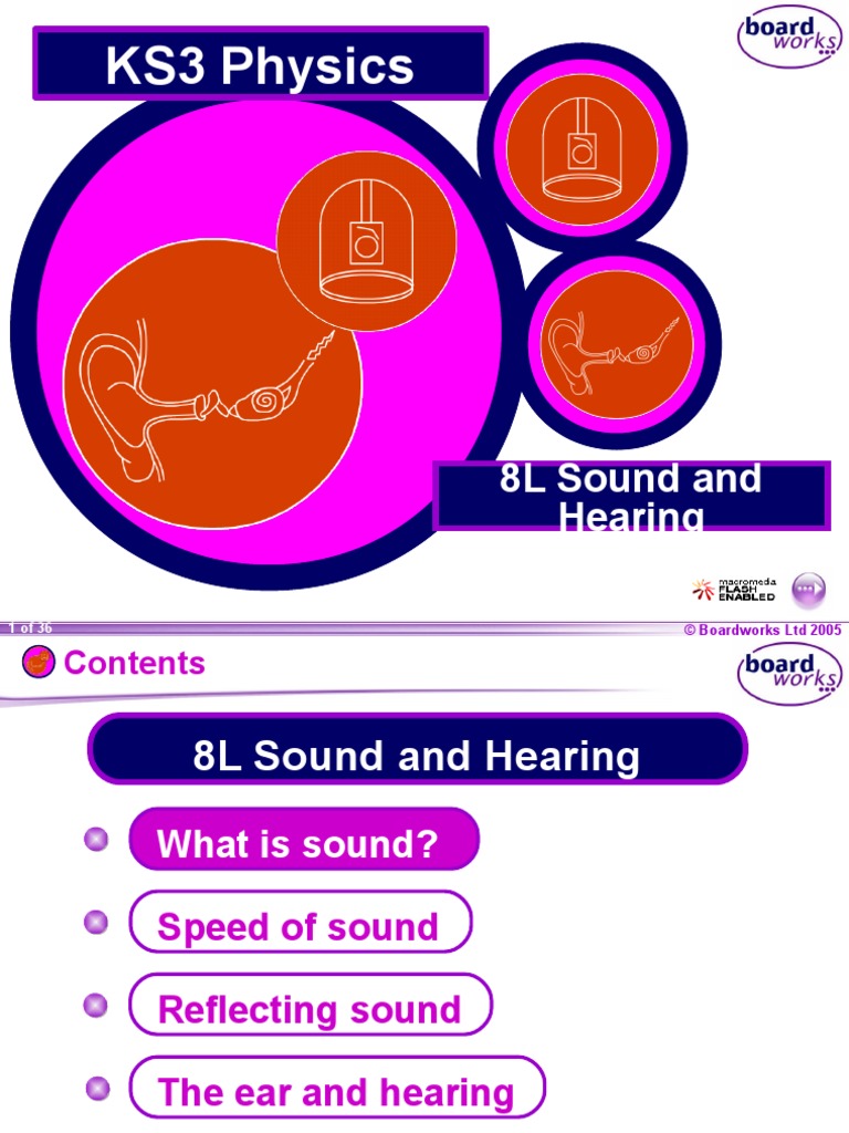 KS3 Physics: 8L Sound and Hearing | PDF | Sound | Hearing