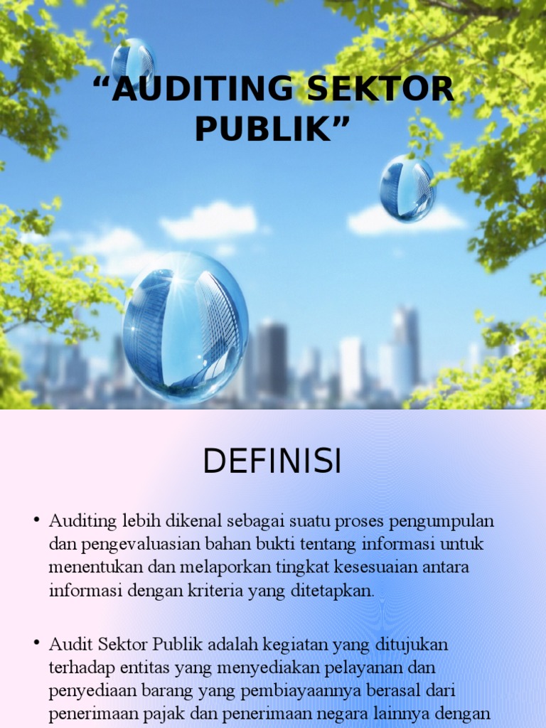 Audit Sektor Publik | PDF | Pengelolaan Keuangan & Uang