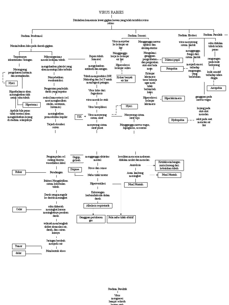 Pathway Rabies | PDF