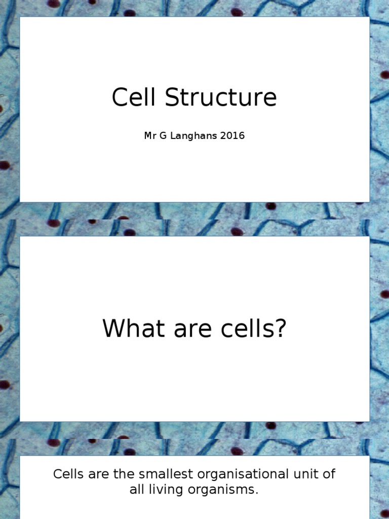 Cell Structure 1 | PDF