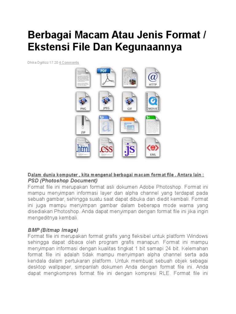 Berbagai Macam Atau Jenis Format File | PDF