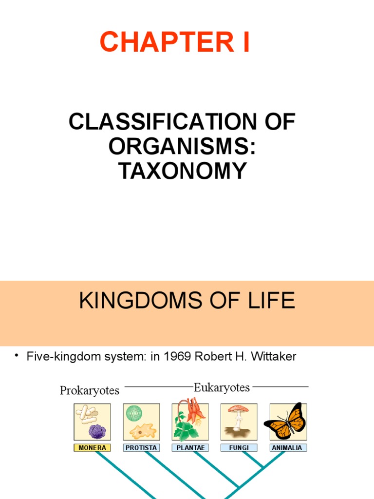 Classification of Organisms: Taxonomy | PDF | Cell (Biology) | Eukaryotes
