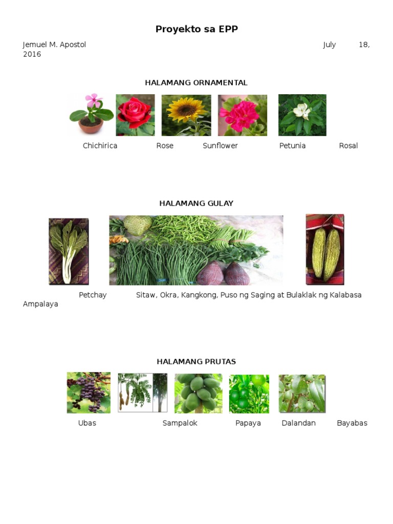 Halamang Ornamental at Gulay List | PDF