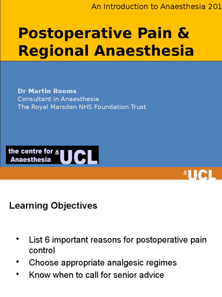 Intro Anesthesia 2016 Pain Regional | Download Free PDF | Analgesic ...