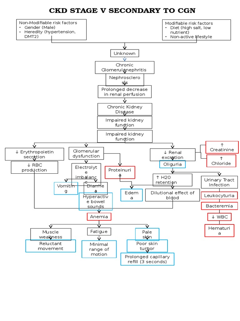 Pathophysiology CKD Secondary To CGN | PDF