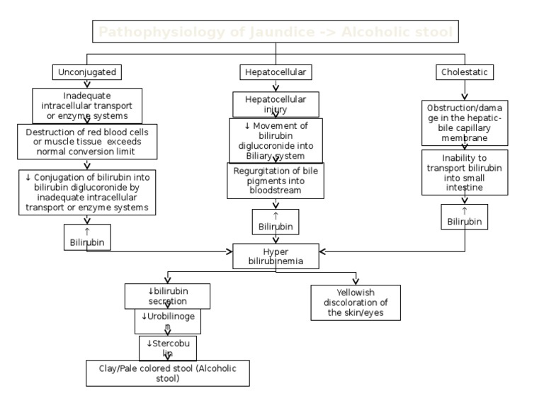 Pathophysiology of Jaundice | PDF
