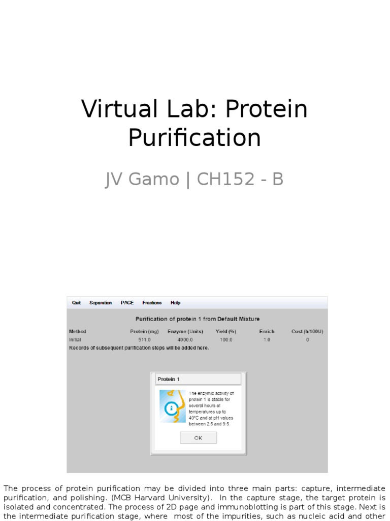 Virtual Lab 2 | PDF | Gel Electrophoresis | Western Blot