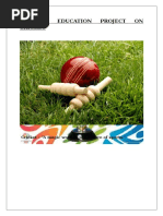 Cricket Physical-Education-Project | PDF | Games Of Physical Skill ...