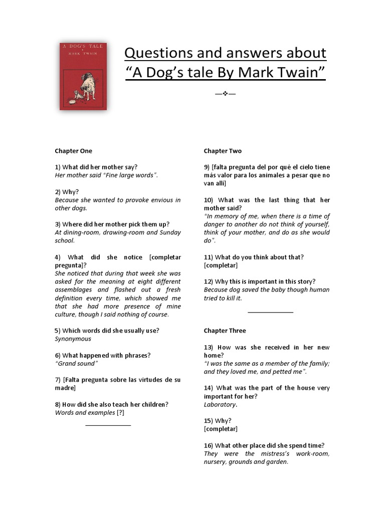 Questions and Answers About Dog's Tale | PDF | Art | General Fiction