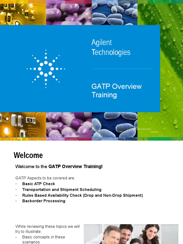 GATP Overview and Training Guide | PDF | Business Process | Logistics
