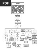 Woc Antepartum Bleeding | PDF