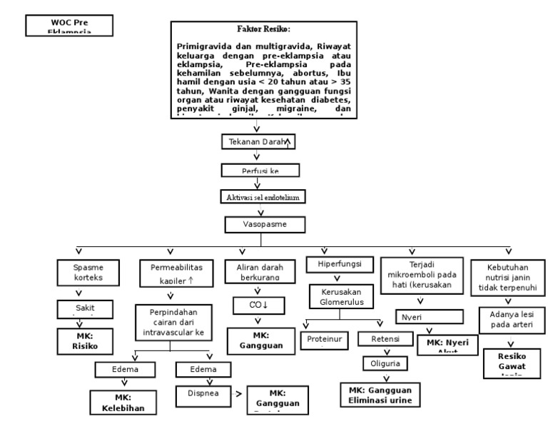 Woc Preeklampsia | PDF