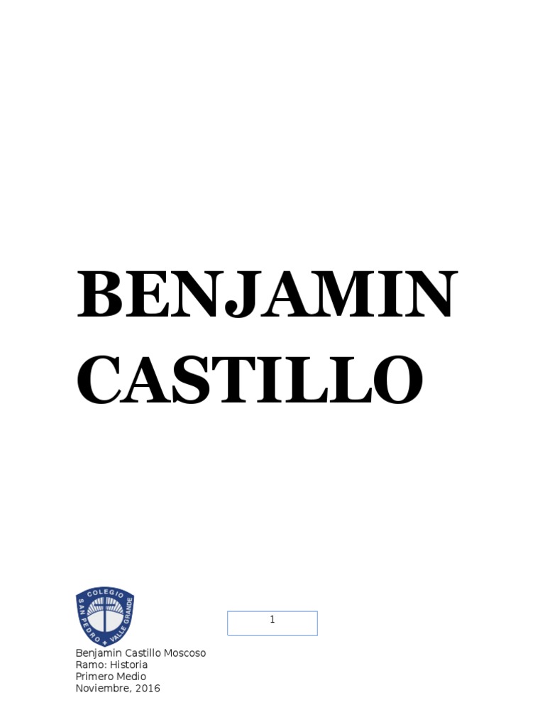 Mi Biografia Benjamin Castillo | PDF | Adultos | Servicio de redes sociales
