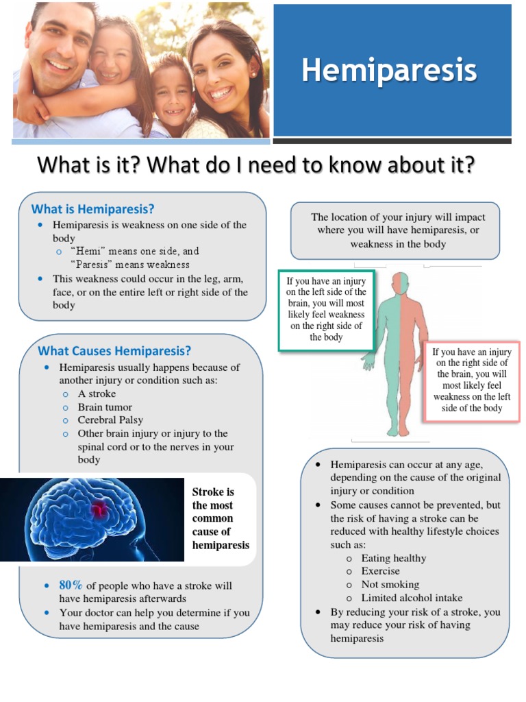 Hemiparesis Handout - Final | PDF | Stroke | Neurology