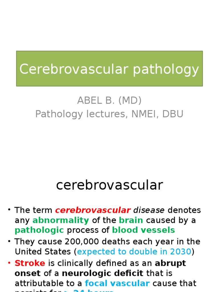 Cerebrovascular Pathology Abel B Md Pathology Lectures Nmei Dbu