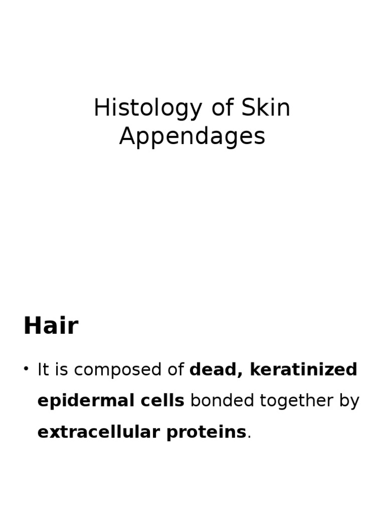 3.histology of Skin Appendages | PDF | Nail (Anatomy) | Skin