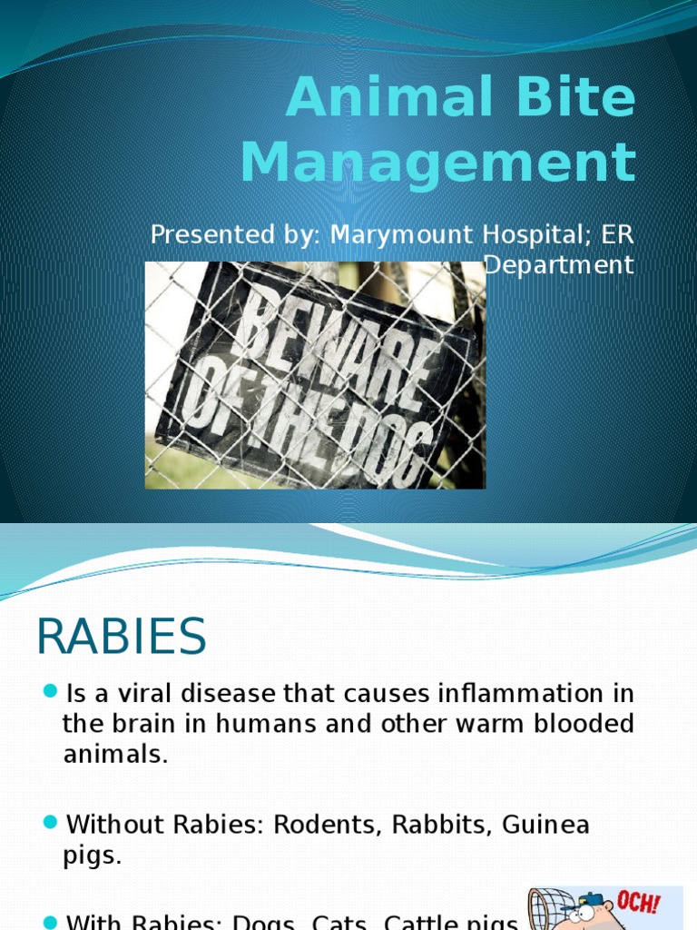 Animal Bite Management | Rabies | Veterinary Medicine