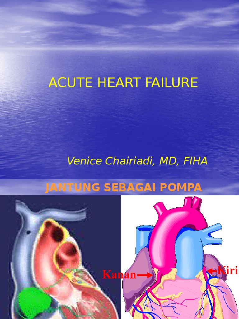 Acute HF | PDF | Heart Failure | Heart