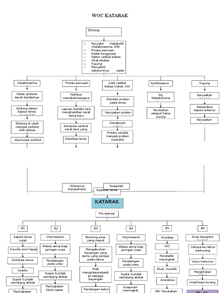 Woc Katarak | PDF