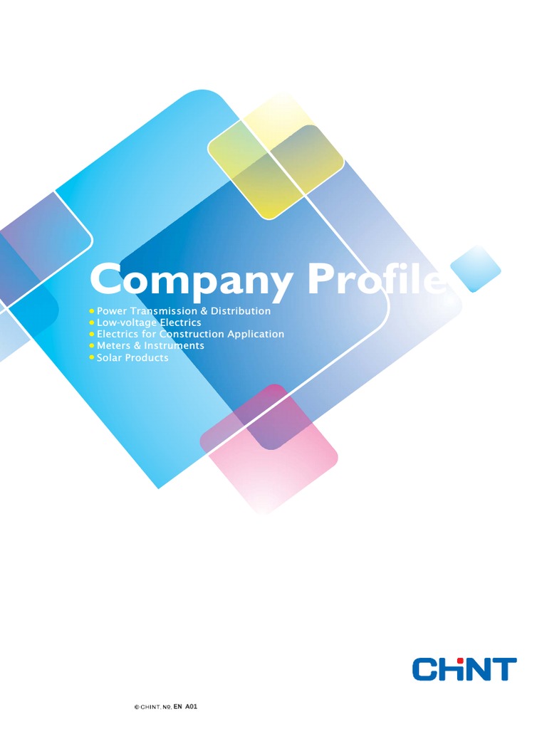 Chint Group-Company Profile | PDF
