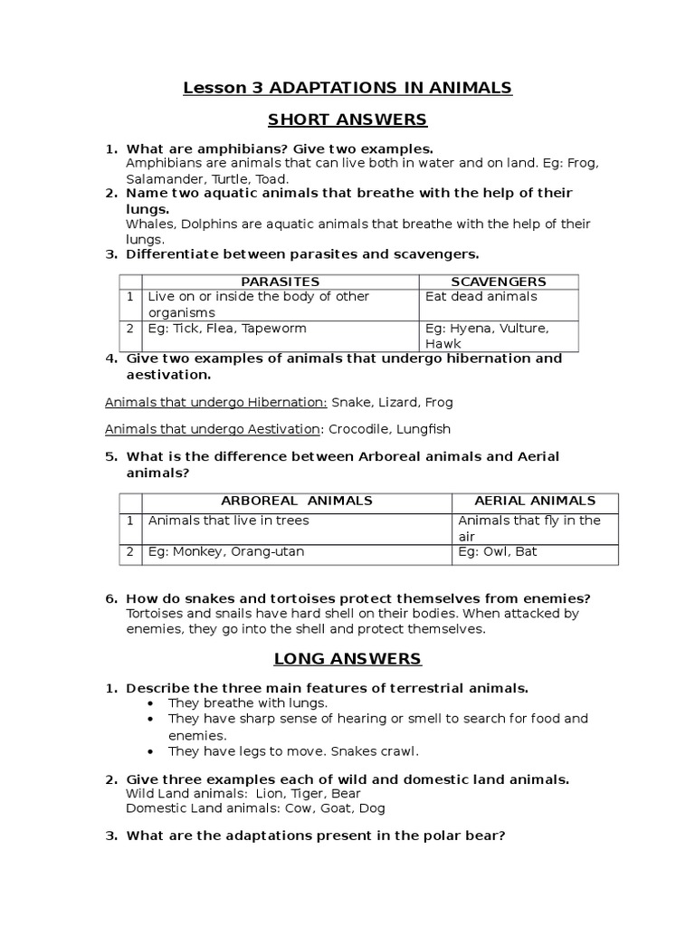 Lesson 3 Adaptations in Animals | PDF | Amphibian | Bears