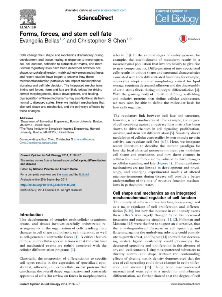 Forms Forces and Stem Cell Fate | PDF | Cellular Differentiation ...